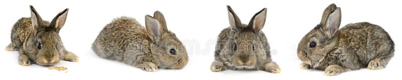 648 Camera Angles Stock Photos - Free & Royalty-Free Stock Photos from ...