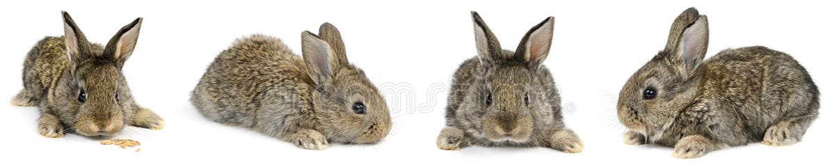 506 Different Camera Angles Stock Photos - Free & Royalty-Free Stock ...