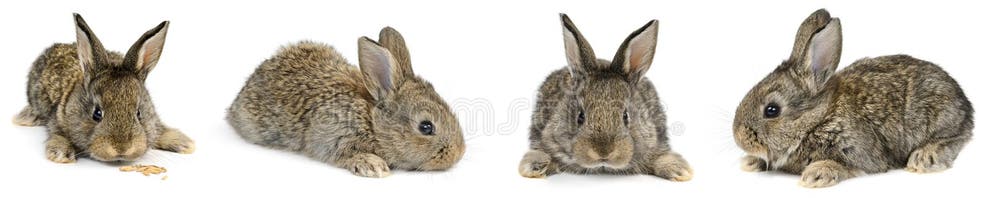 506 Different Camera Angles Stock Photos - Free & Royalty-Free Stock ...