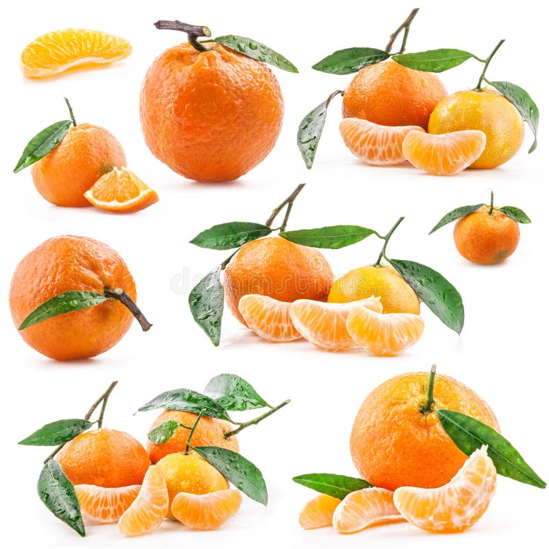 Collections of Tangerines stock image. Image of healthy - 27938689