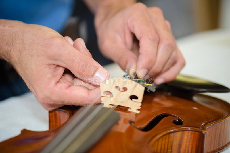 Ponticello del violino immagine stock. Immagine di ponticello - 7894823