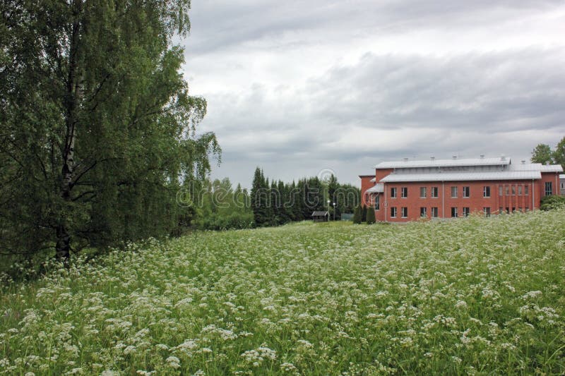 A College Building in a White Flower Meadow Stock Image - Image of ...