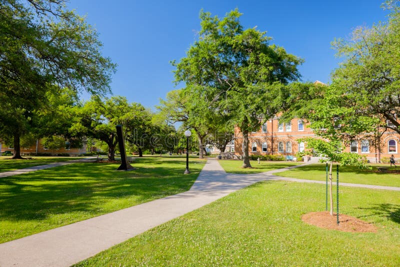 College campus stock image. Image of college, grass, school - 40671689