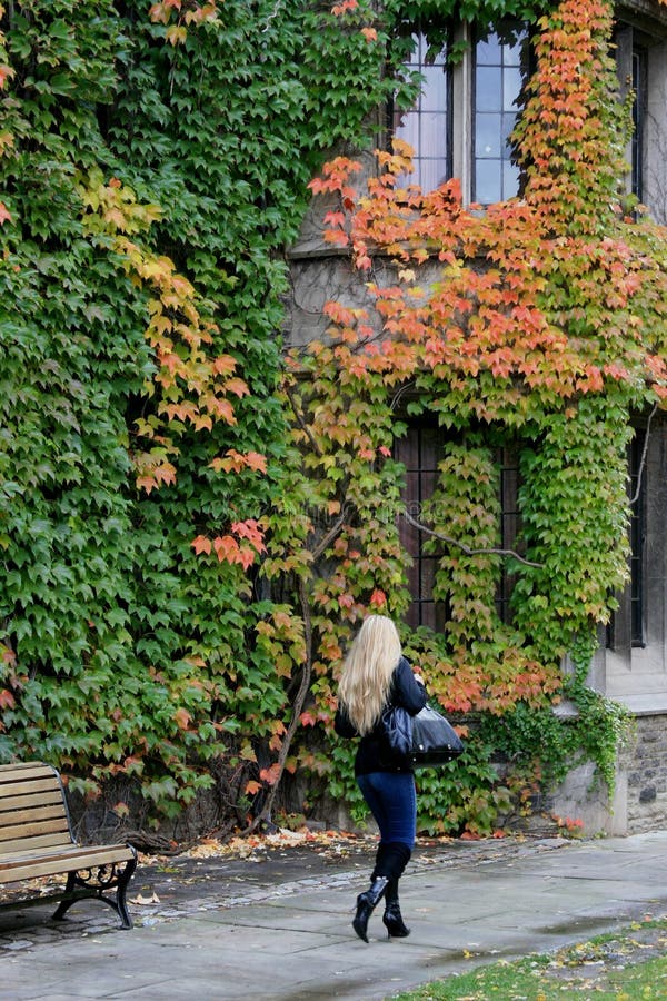 College with fall ivy editorial image. Image of stone - 25971840