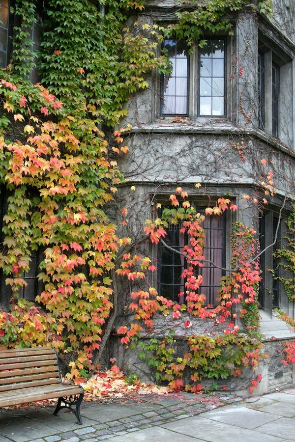 College with Fall Vines stock image. Image of vine, golden - 4623595