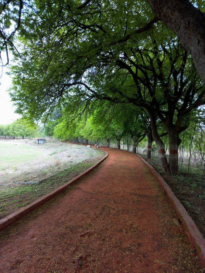 College Ground and Running Track with Trees Stock Image - Image of ...