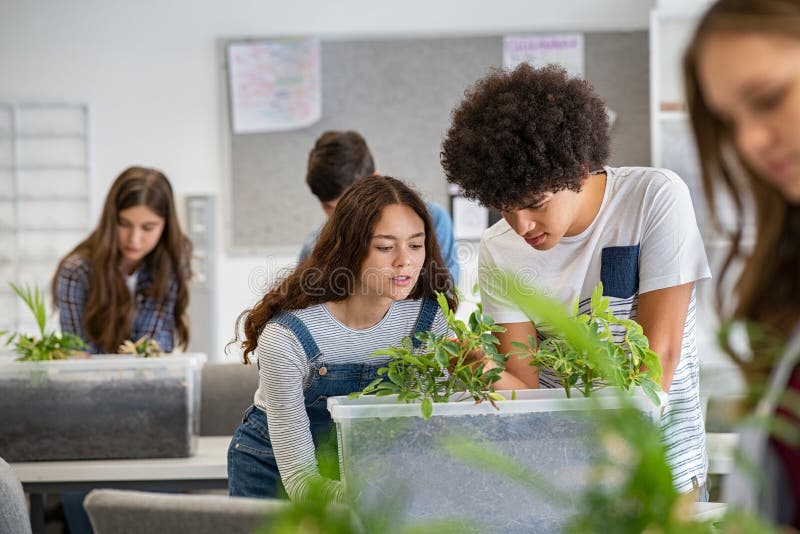Biology Class at High School Lab Stock Photo - Image of people ...