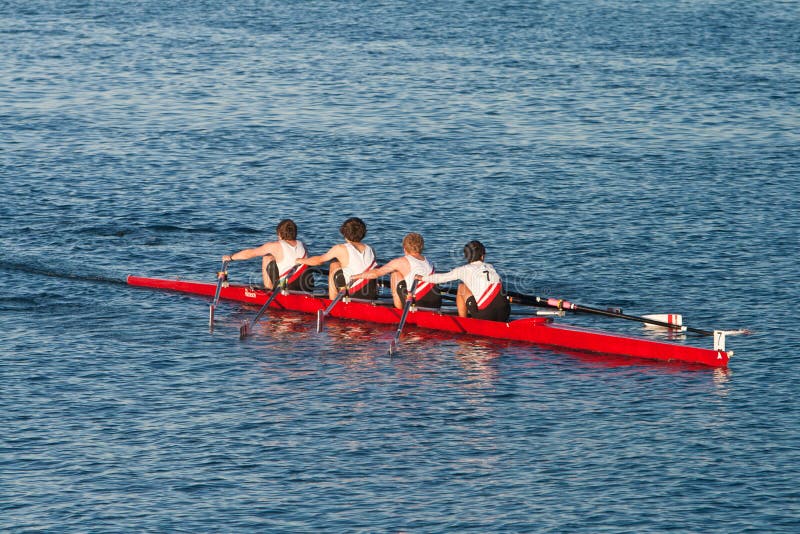 Collegiate Rowing Teams Practice on the Pacific Editorial Stock Image ...