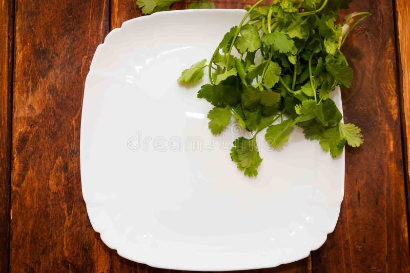 Collera fresca immagine stock. Immagine di coriandolo - 135246133