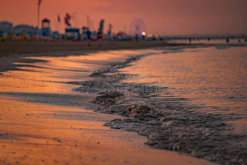 Colliding with the Shore, the Waves Turn into Foam, Lifting Shells from ...