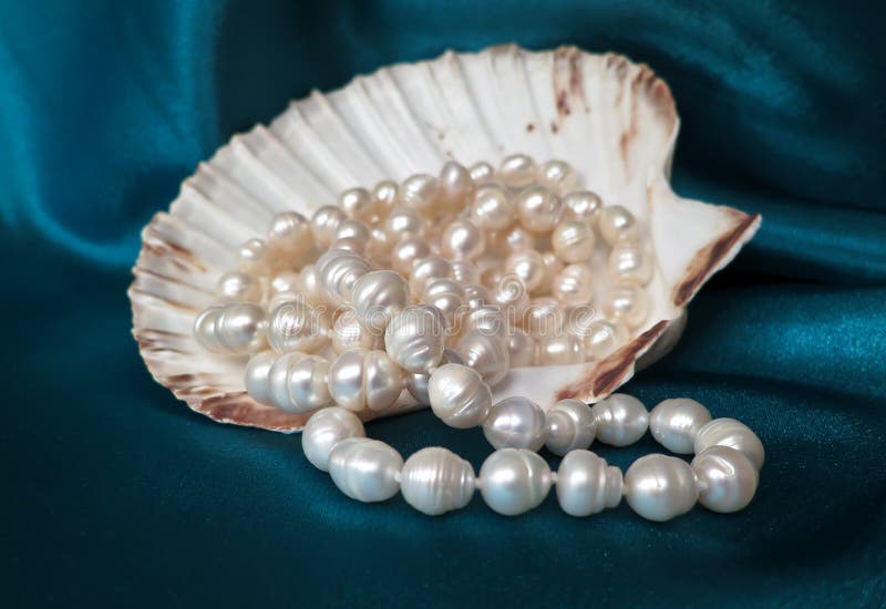 Coquillage Avec Un Collier De Perle Photo stock - Image du beau, shell ...
