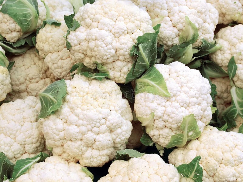 Colliflowers stock photo. Image of healthy, garden, head - 1385864