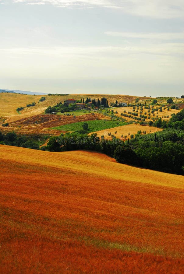 Collina della Toscana immagine stock. Immagine di aperto - 28926393