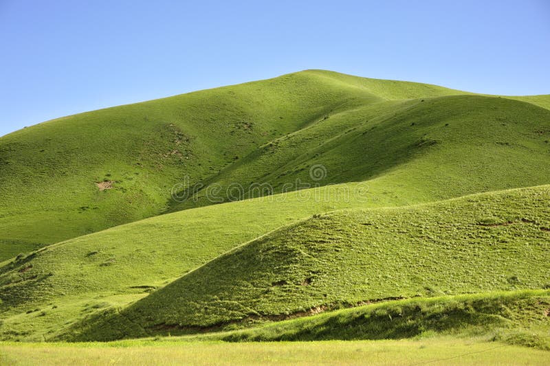 Collina verde fotografia stock. Immagine di nave, curva - 11005302