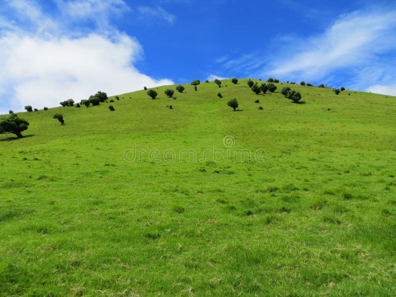Collina Verde Con Cielo Blu Immagine Stock - Immagine di mosca, colline ...