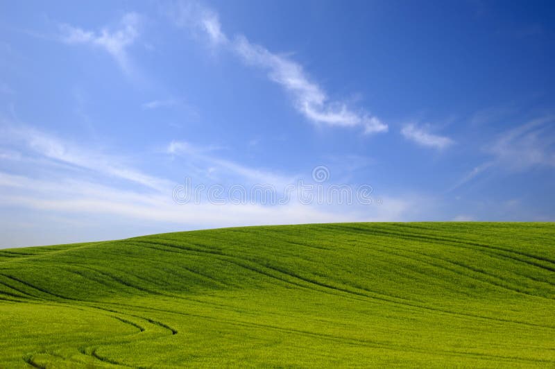 Collina verde e cielo blu. fotografia stock. Immagine di campo - 2586454