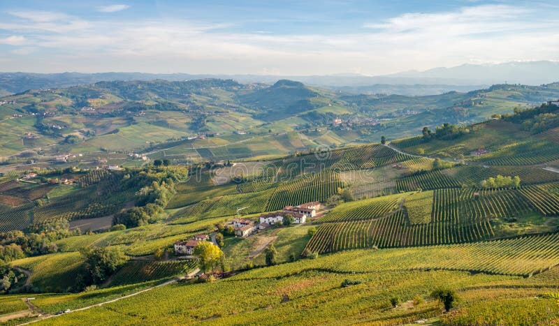 Colline Delle Vigne Di Langhe E Roero, Piemonte, Italia Immagine Stock ...