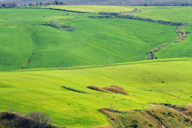 Colline in Italia immagine stock. Immagine di arato, paese - 34888473