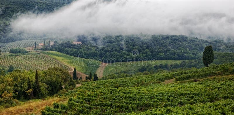 Colline toscane fotografia stock. Immagine di campo, italiano - 7712128