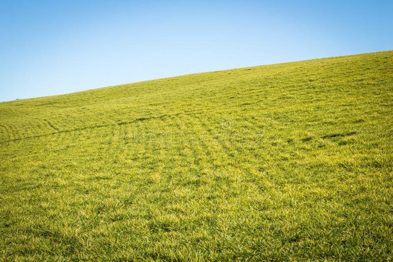 Colline Verte Au-dessus De Ciel Bleu Photo stock - Image of ressort ...