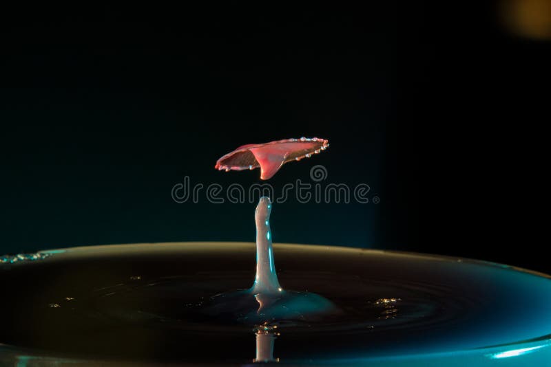 Water splatter and splash. stock image. Image of circle - 149951837