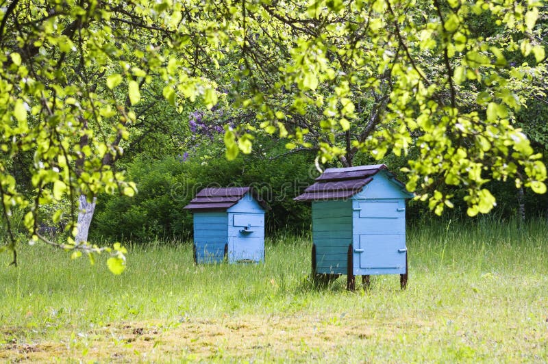 Colmena foto de archivo. Imagen de animal, agricultura - 14137828