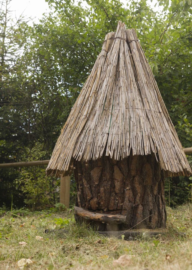 Colmena natural imagen de archivo. Imagen de miel, salud - 35005207