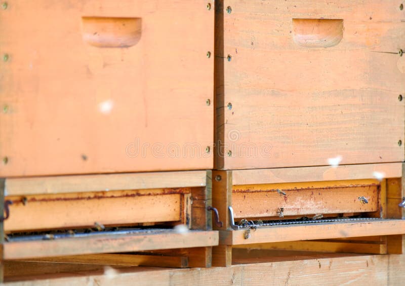 Colmenas De Colmena De Colmena De Colmena De Abejas Foto de archivo ...