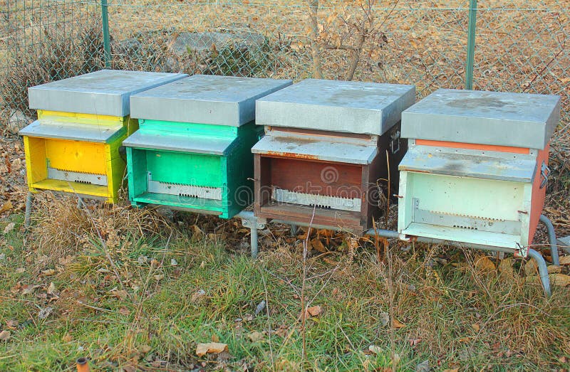 Colmenas Pintadas En El Campo Imagen de archivo - Imagen de hierba ...