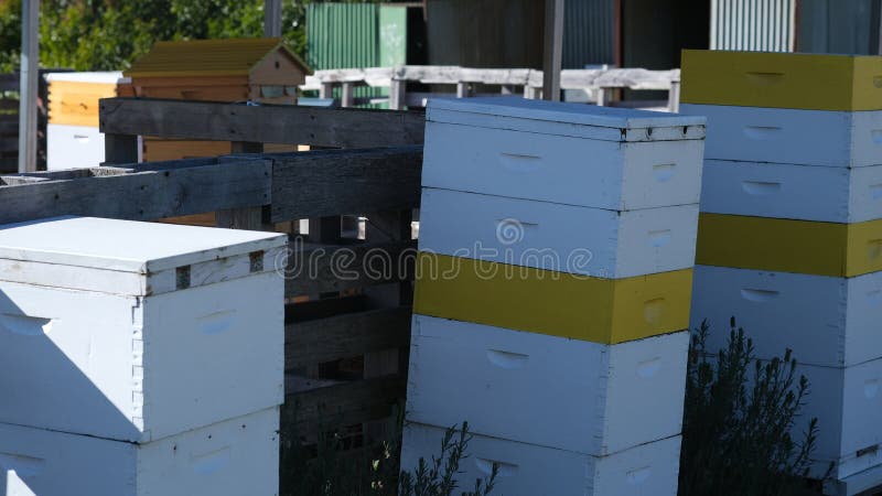 Colmenas Tradicionales En Una Granja De Abejas. Foto de archivo ...