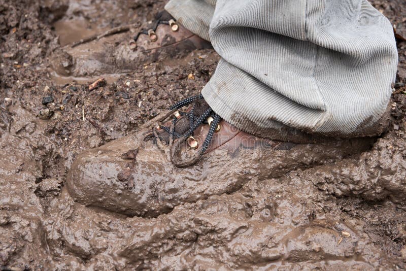 imágenes comunes del Fango - los derechos de la transferencia directa ...