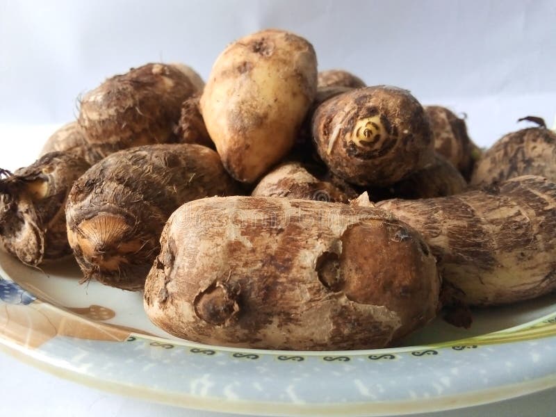 1,978 Colocasia Root Stock Photos - Free & Royalty-Free Stock Photos ...