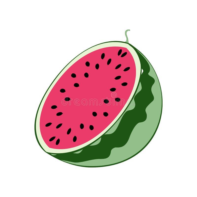 Watermelon Half Outline Stock Illustrations – 910 Watermelon Half ...