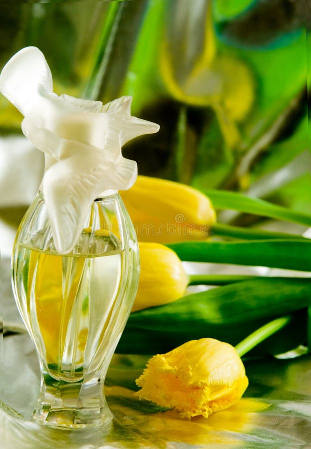 Cologne/perfume bottles stock photo. Image of groom, cologne - 13362200