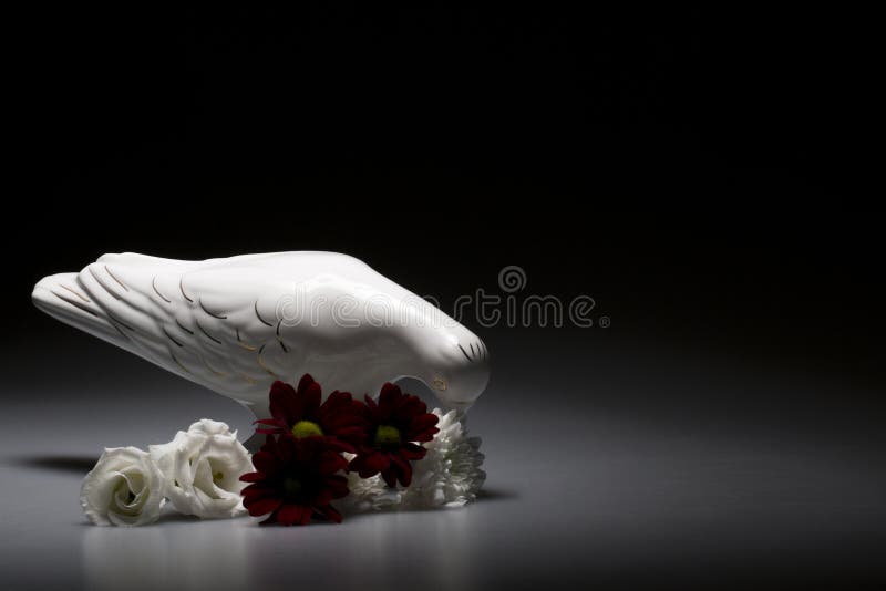 Colombe De Deuil De Porcelaine Avec Les Roses Blanches Photo stock ...