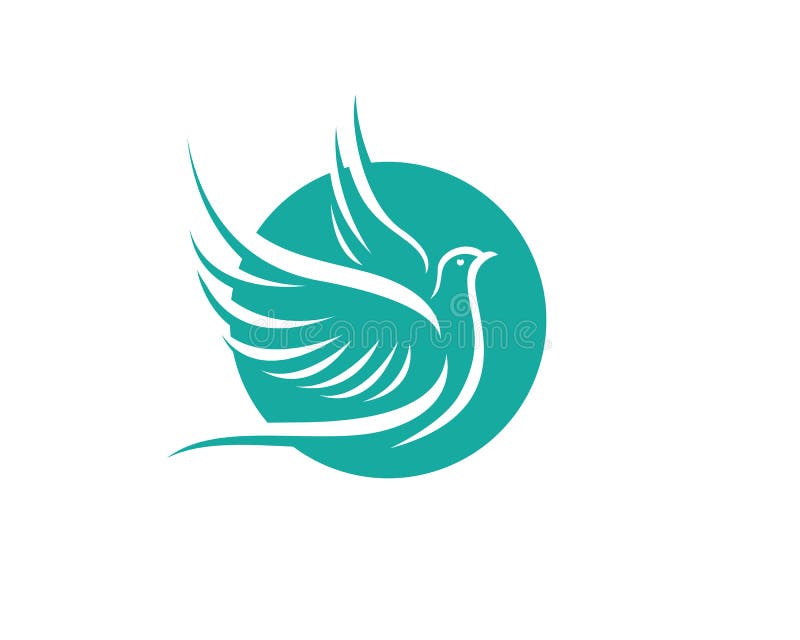 Colombe Logo Template D'oiseau Illustration de Vecteur - Illustration ...