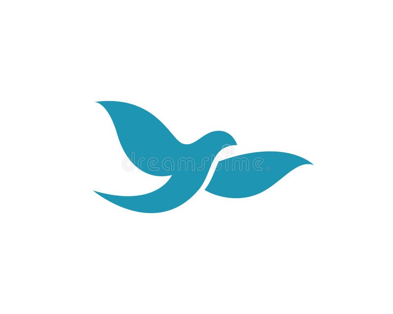 Colombe Logo Template D'oiseau Illustration de Vecteur - Illustration ...