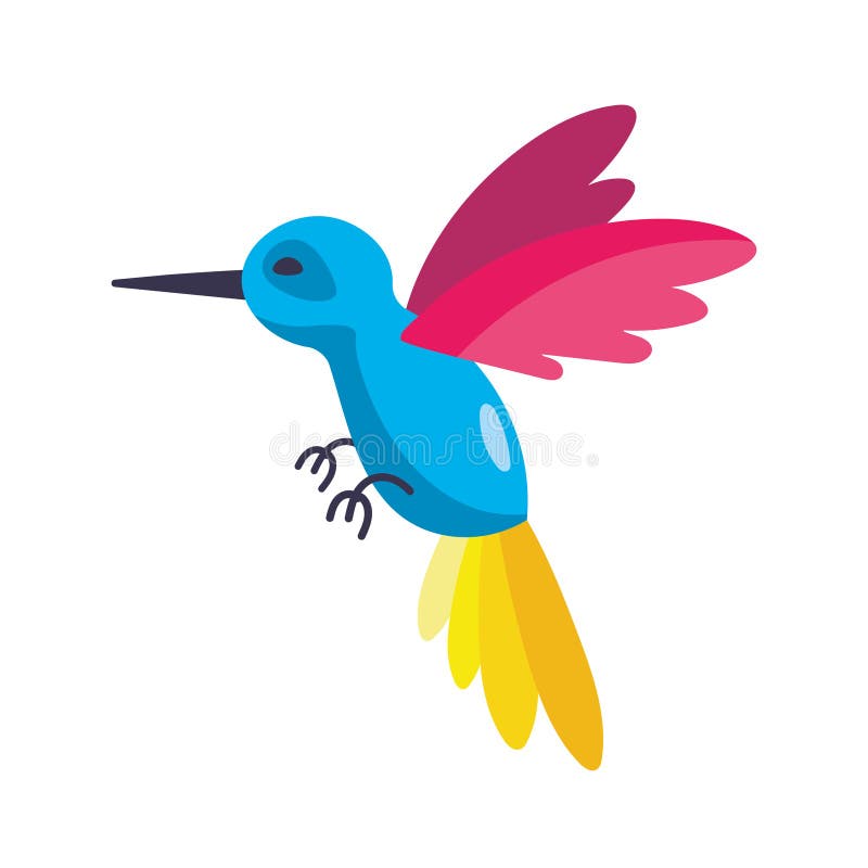 Colombian hummingbird bird stock vector. Illustration of isolated ...