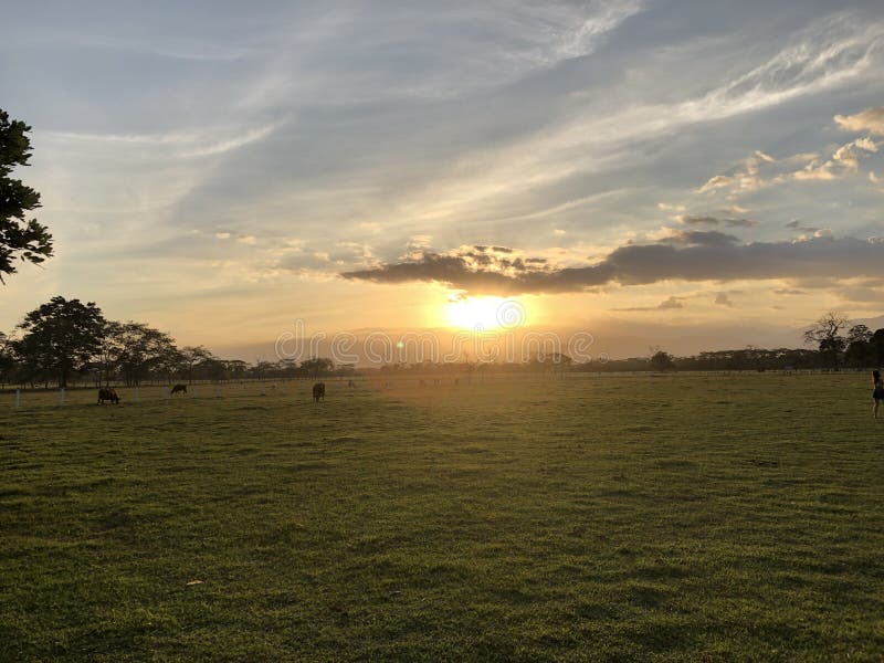 Colombian sunset stock image. Image of climate, care - 137009599