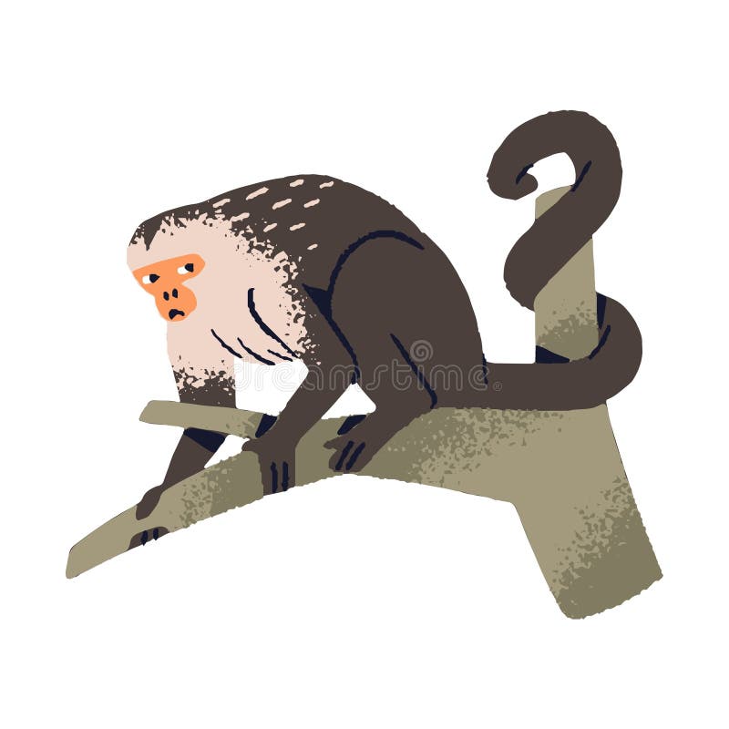 Colombian White Headed Capuchin. Cute Monkey Sitting on Tree, Its Long ...