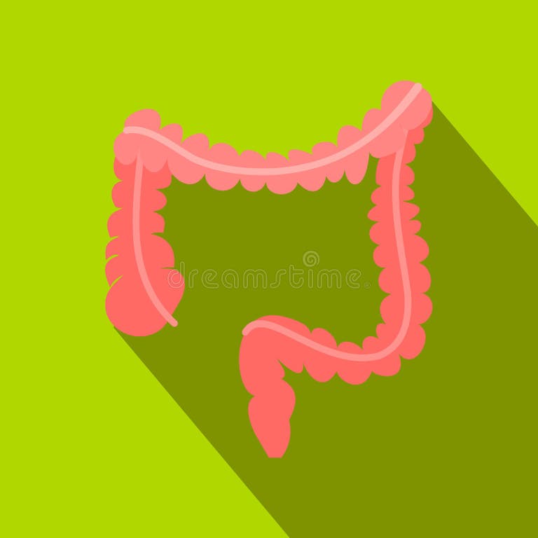 Colon Icon Stock Illustrations – 6,989 Colon Icon Stock Illustrations ...