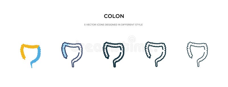 Colon Icon in Different Style Vector Illustration. Two Colored and ...