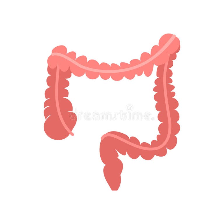 Colon Icon Stock Illustrations – 6,989 Colon Icon Stock Illustrations ...