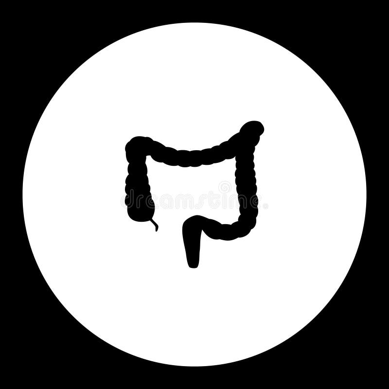 Colon Internal Organ Medical Simple Black Icon Eps10 Stock Vector ...