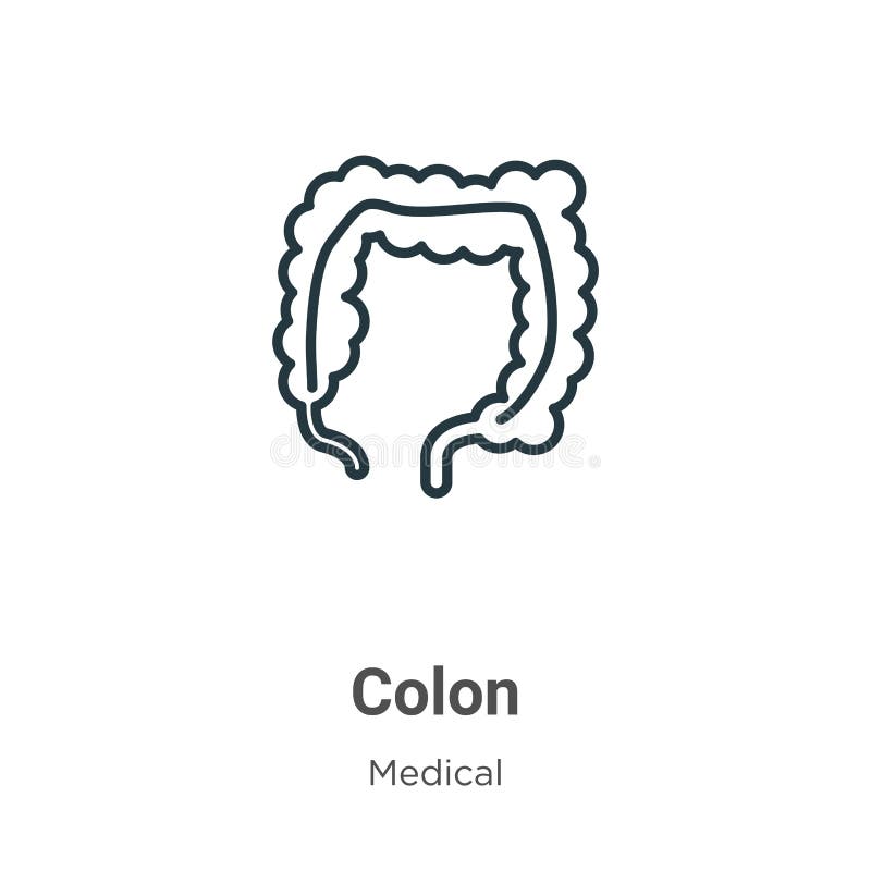 Colon Black Simple Icon Stock Illustrations – 284 Colon Black Simple ...