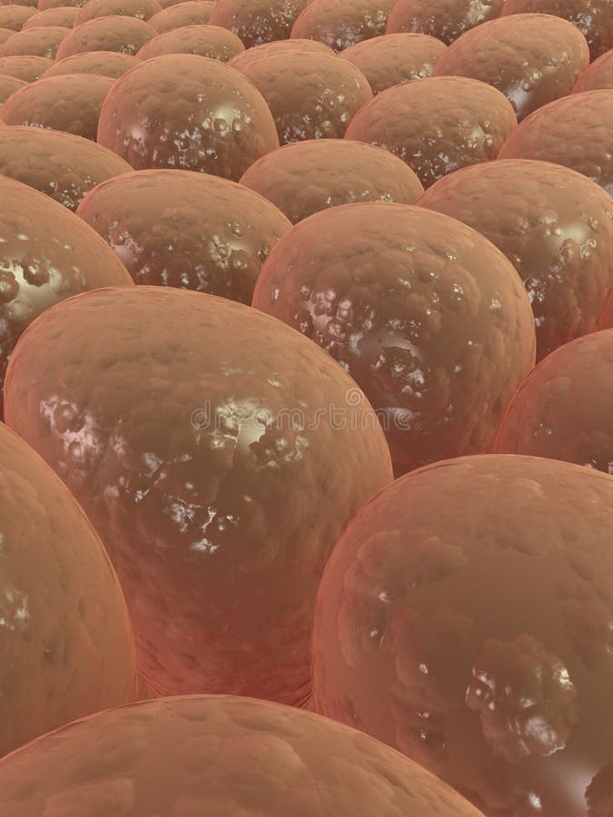 Colon villi stock illustration. Illustration of cancer - 2202243