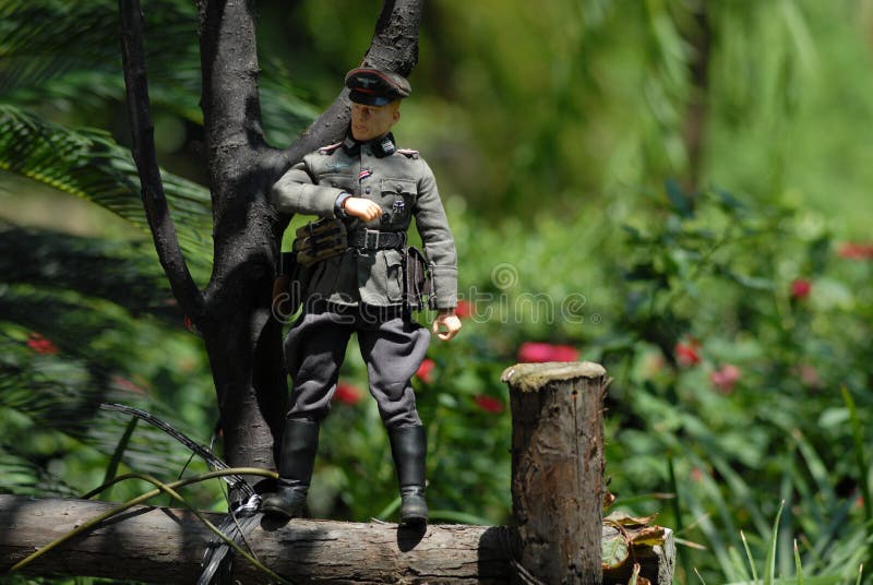 A Colonel doll stock photo. Image of tree, jungle, plant - 107219516