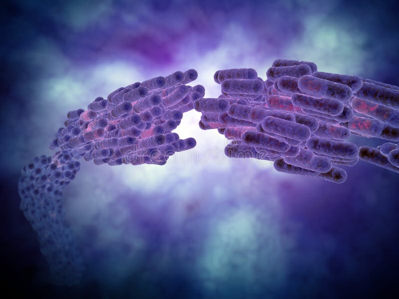 Crescita In 4 Specie Di Colonie Dei Batteri, Vettore Del Batterio ...