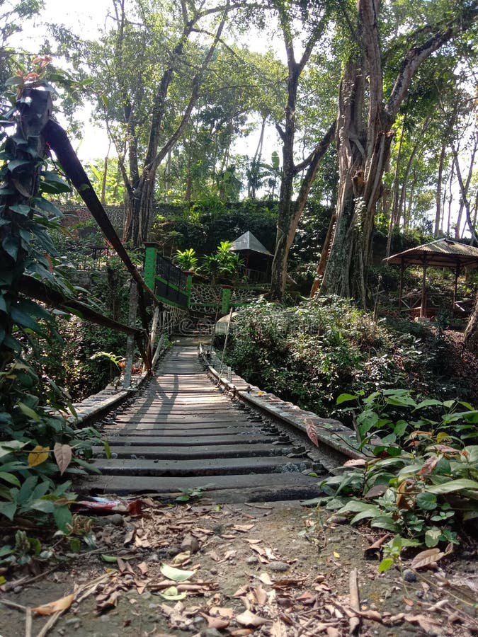 Colonial bridge and trees stock image. Image of dutch - 261880005