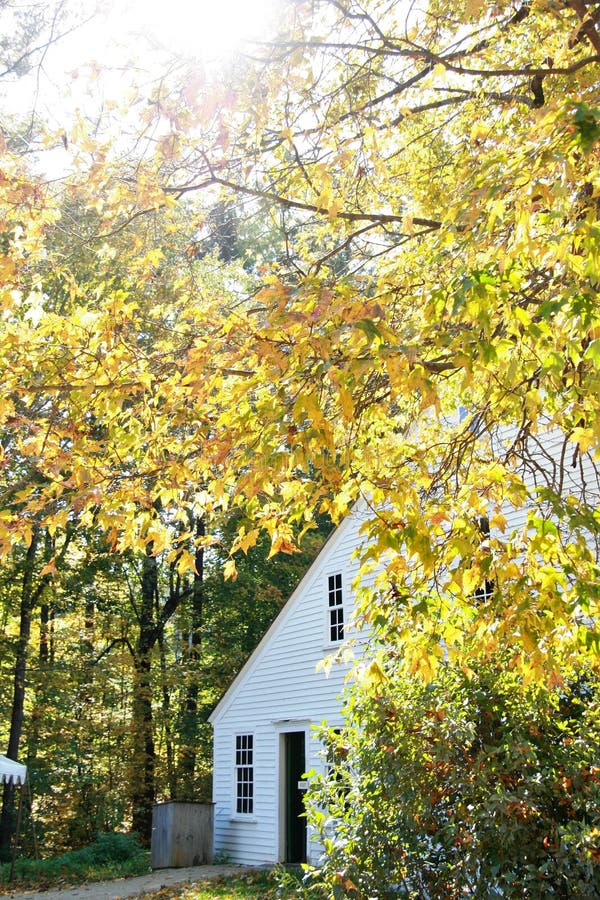Colonial House with Fall Foliage Stock Image - Image of farmers, door ...